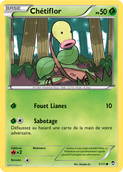 Chétiflor | Pokédex
