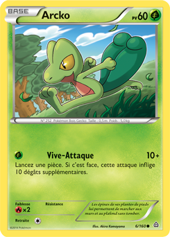 Arcko | Pokédex