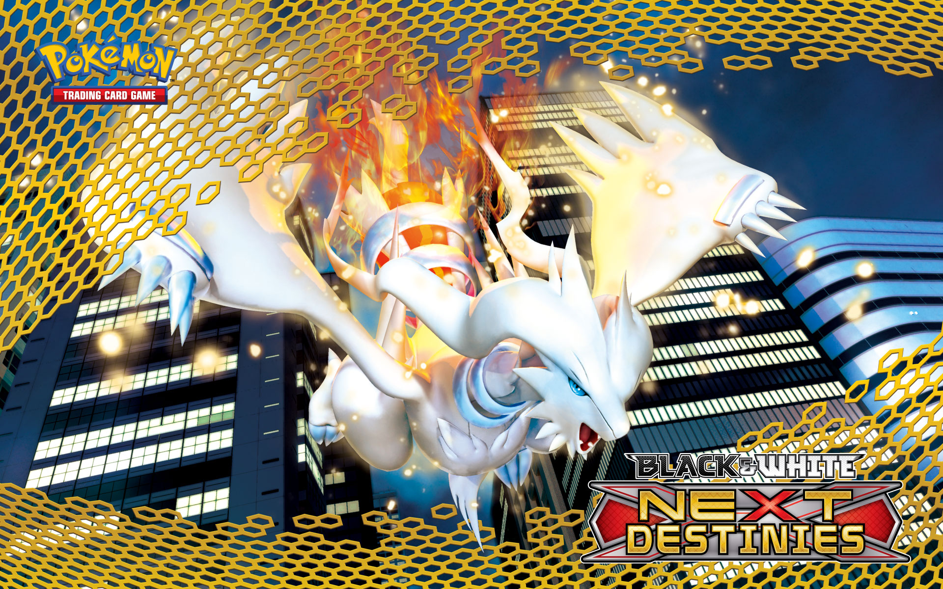 Pokemon Bw Wallpaper By