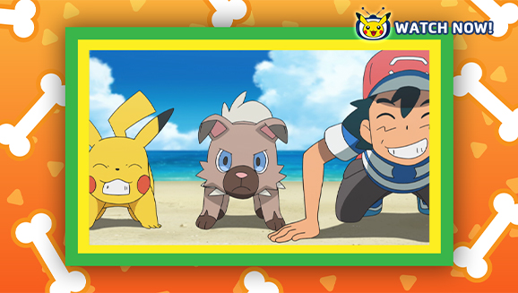 Embrace Loyalty and Love with Dog Days in Pokémon the Series on Pokémon ...