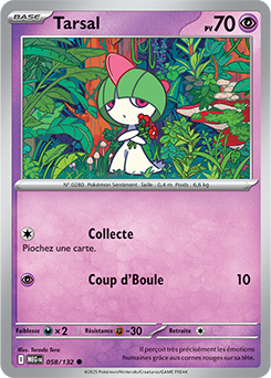 Tarsal | Pokédex