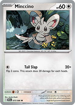 Minccino | Black Bolt | TCG Card Database